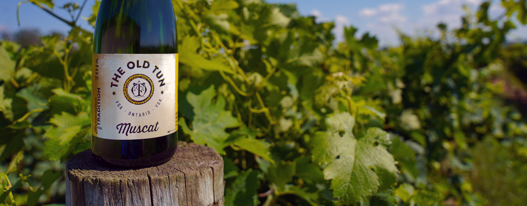 The Old Tun | Canthesis